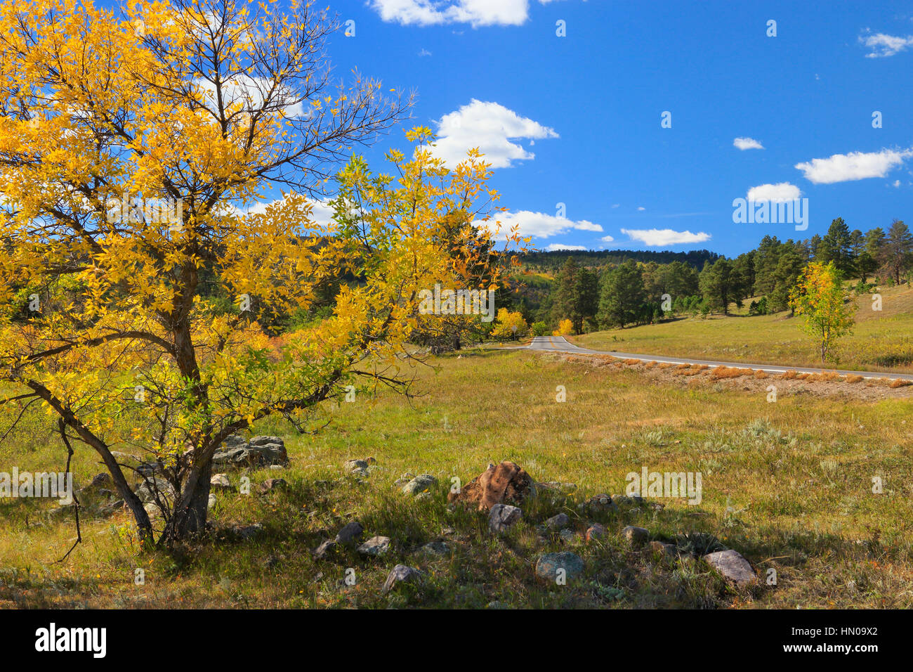 Iron Mountain Road, Peter Norbeck Scenic Highway, Keystone, South ...