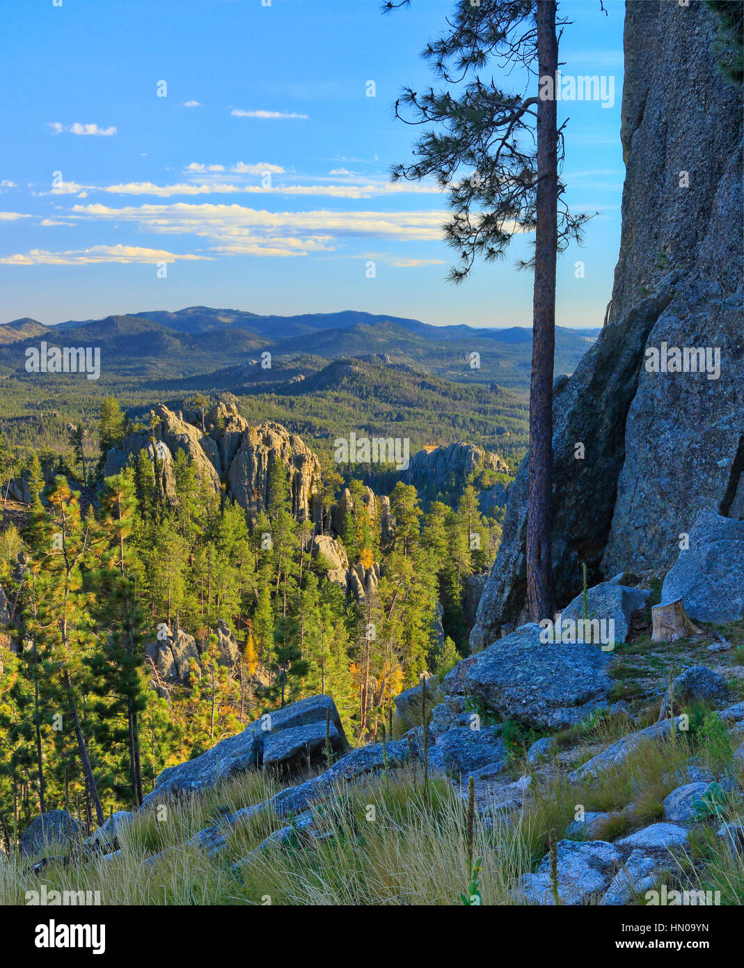 Needles highway scenic drive hi-res stock photography and images - Alamy