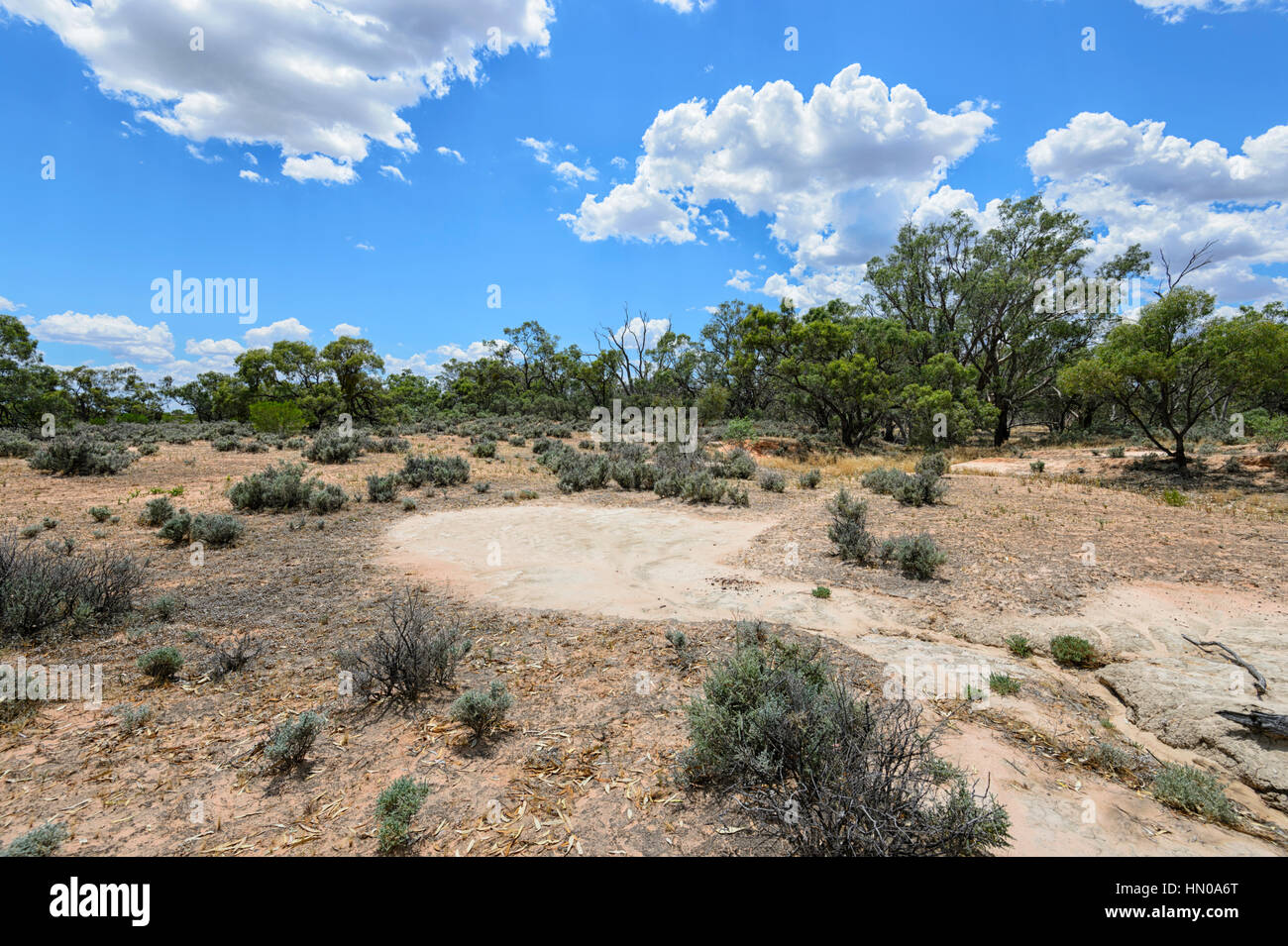 Distinctive interface between the floodplain and sand plain in Kinchega ...