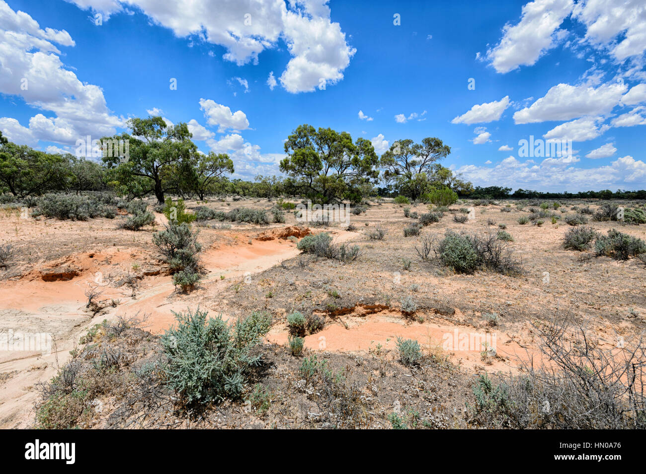Distinctive interface between the floodplain and sand plain in Kinchega ...