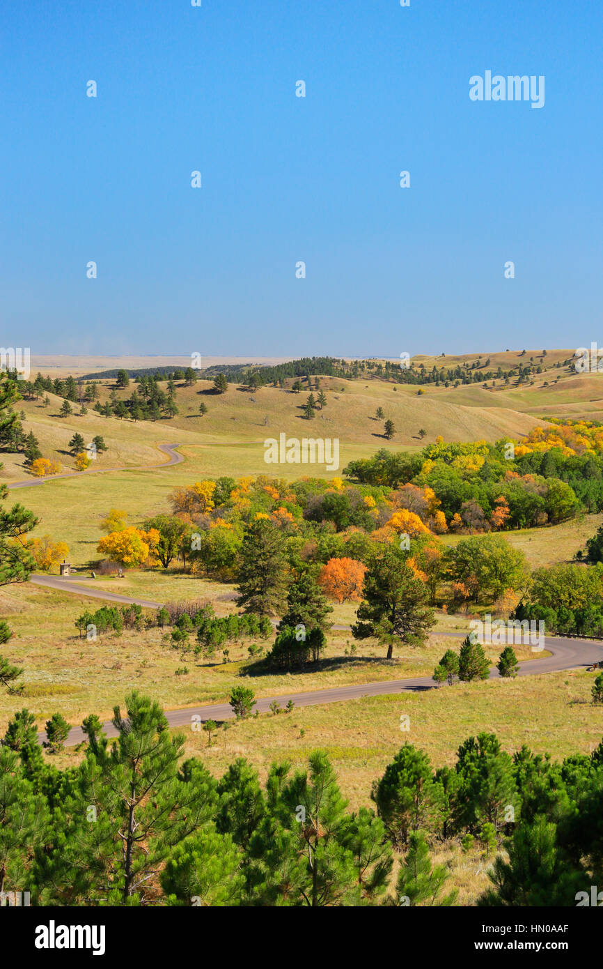Wildlife Loop Road, Custer State Park, Black Hills, South Dakota, USA ...