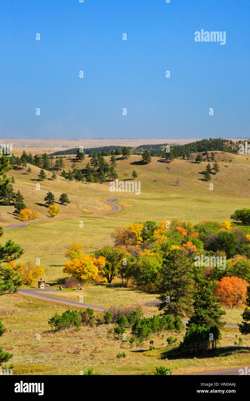 Wildlife Loop Road, Custer State Park, Black Hills, South Dakota, USA ...