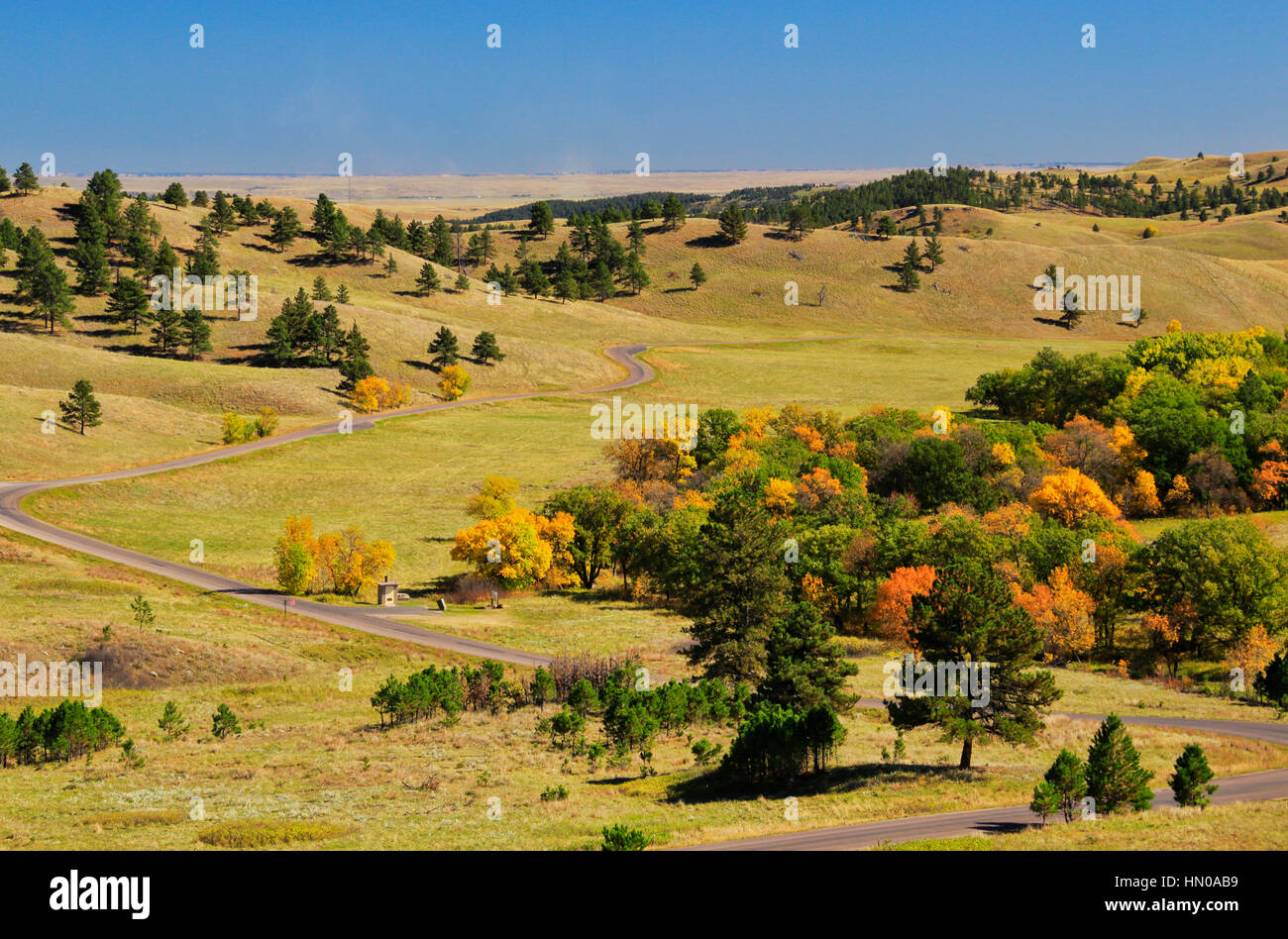 Wildlife Loop Road, Custer State Park, Black Hills, South Dakota, USA ...