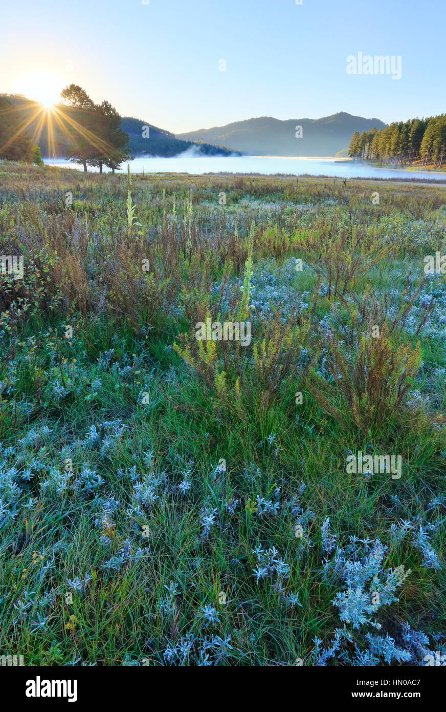 Sunrise, Sheridan Lake, Black Hills, Hill City, South Dakota, USA Stock ...