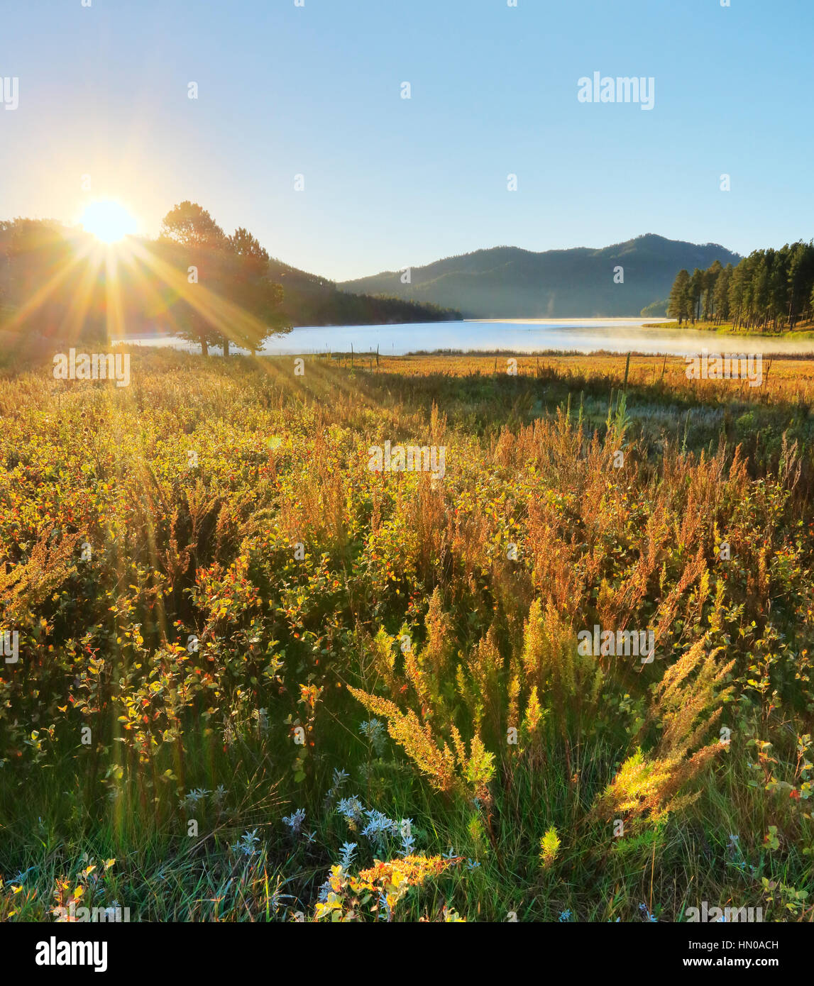 Sunrise, Sheridan Lake, Black Hills, Hill City, South Dakota, USA Stock ...