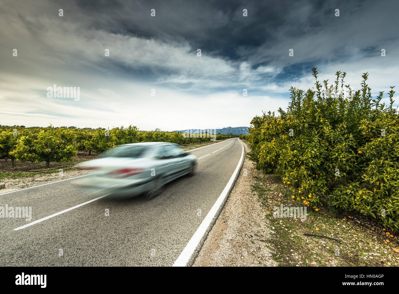 Fast growing plantation hi-res stock photography and images - Alamy