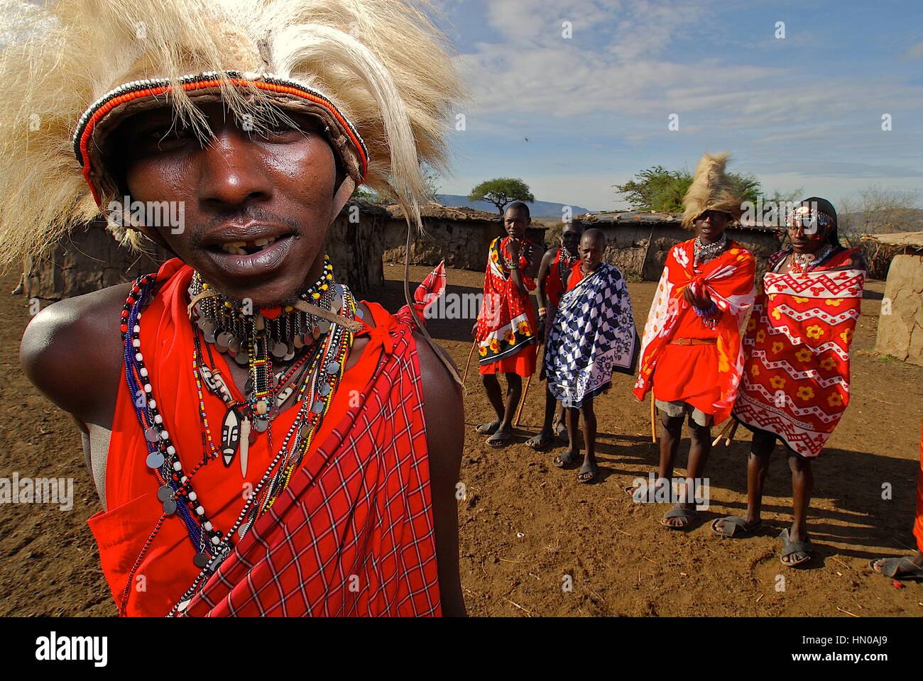 Masais dancing and performing their traditional songs. Masai Mara tribe ...