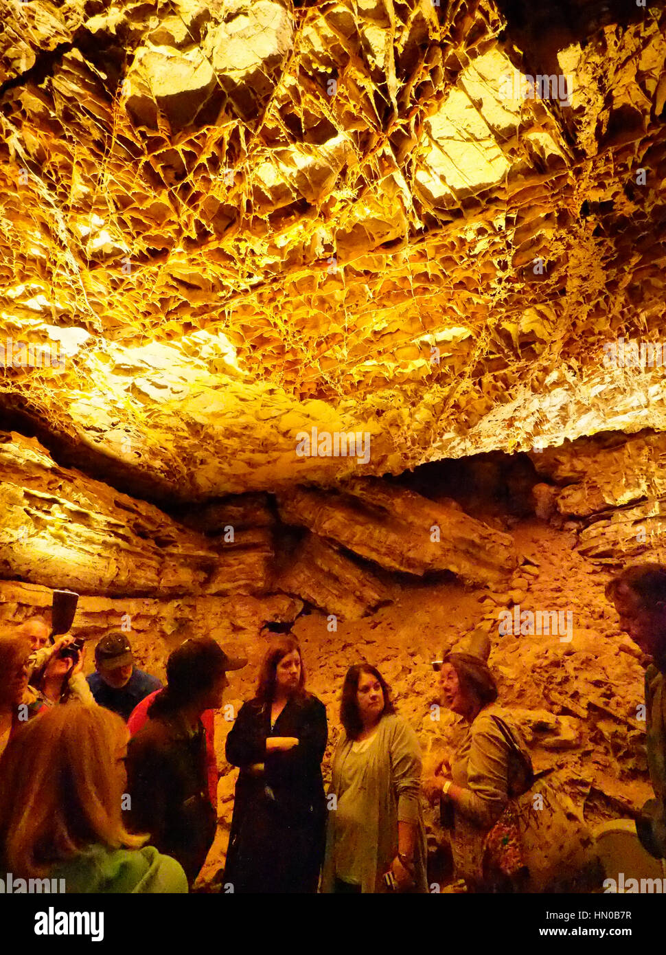 Boxwork, Wind Cave National Park, Black Hills, Hot Springs, South ...