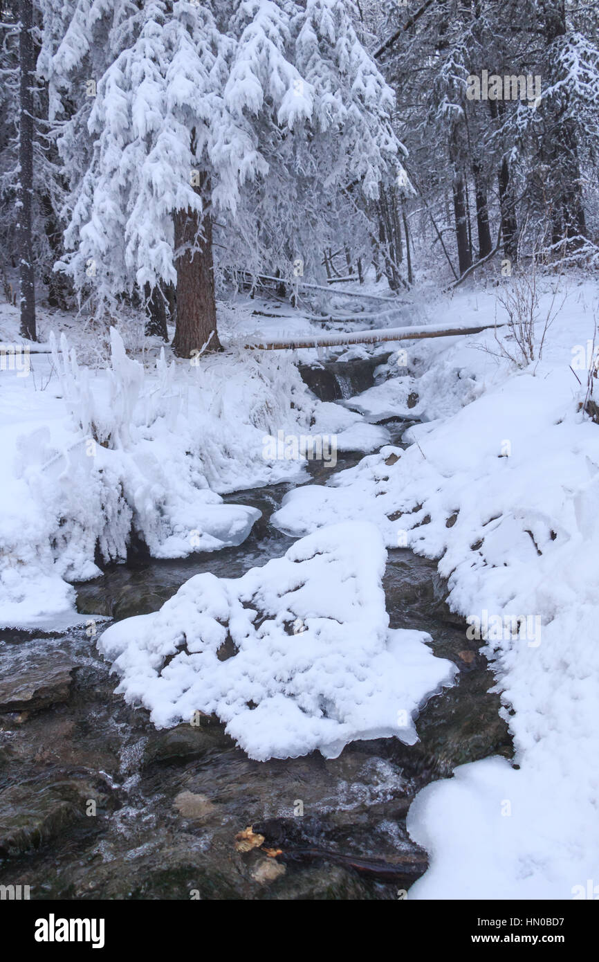Alberta canada river snow trees hi-res stock photography and images - Alamy