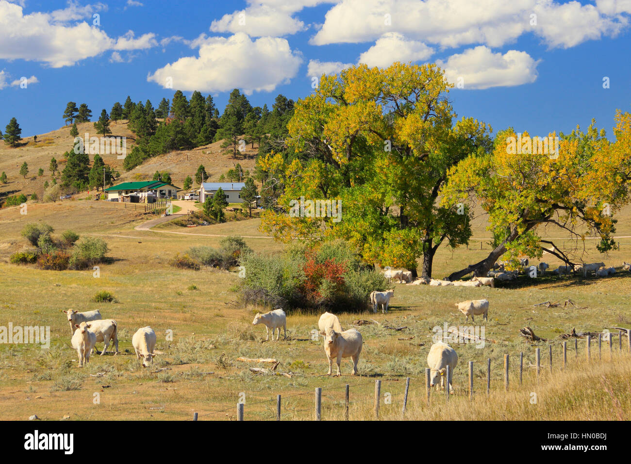 Aladdin wyoming hi-res stock photography and images - Alamy