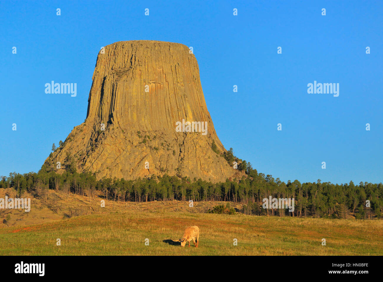 Devils Tower National Monument, Devils Tower, Wyoming, USA Stock Photo ...