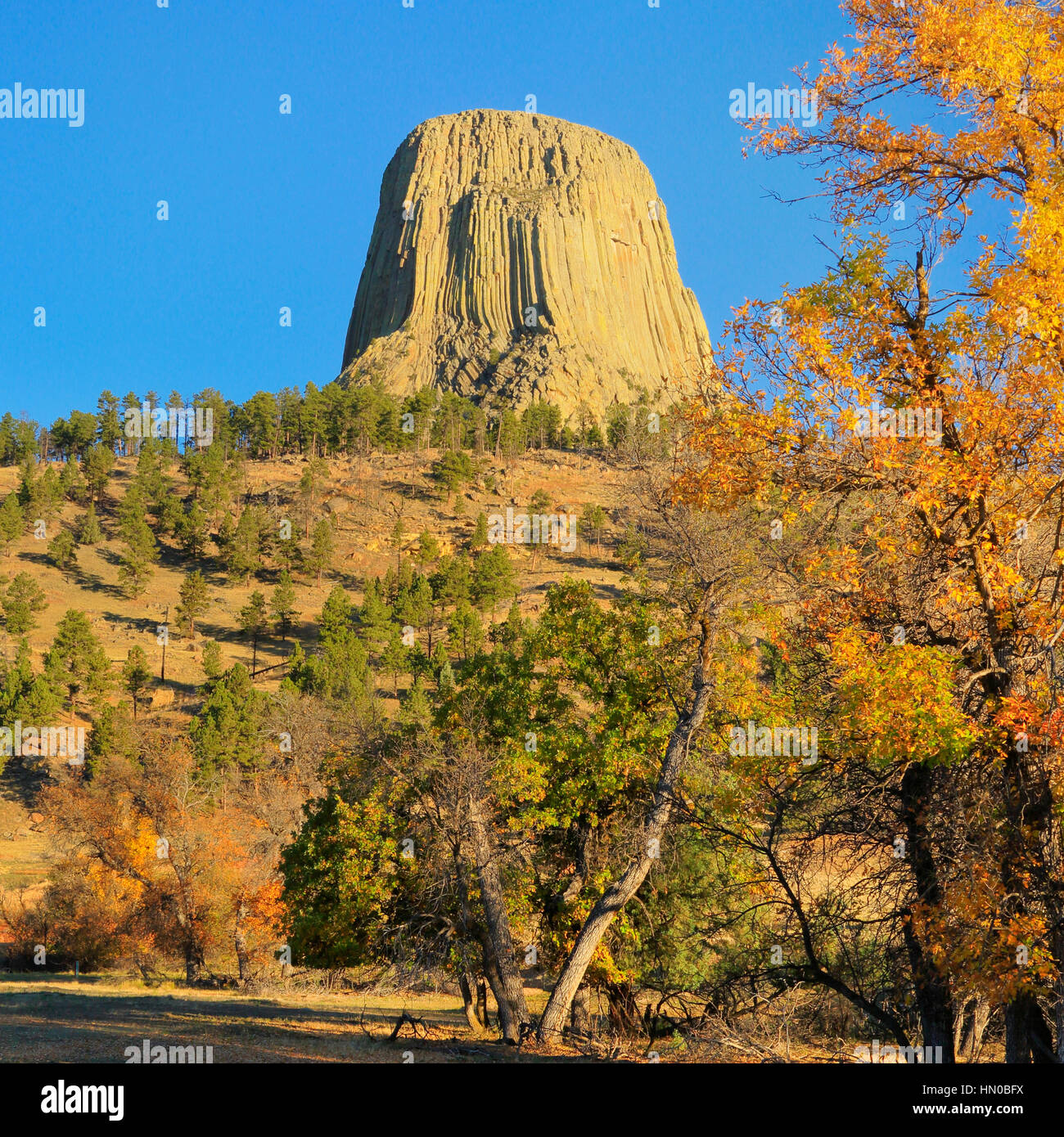 Devils Tower National Monument, Devils Tower, Wyoming, USA Stock Photo ...