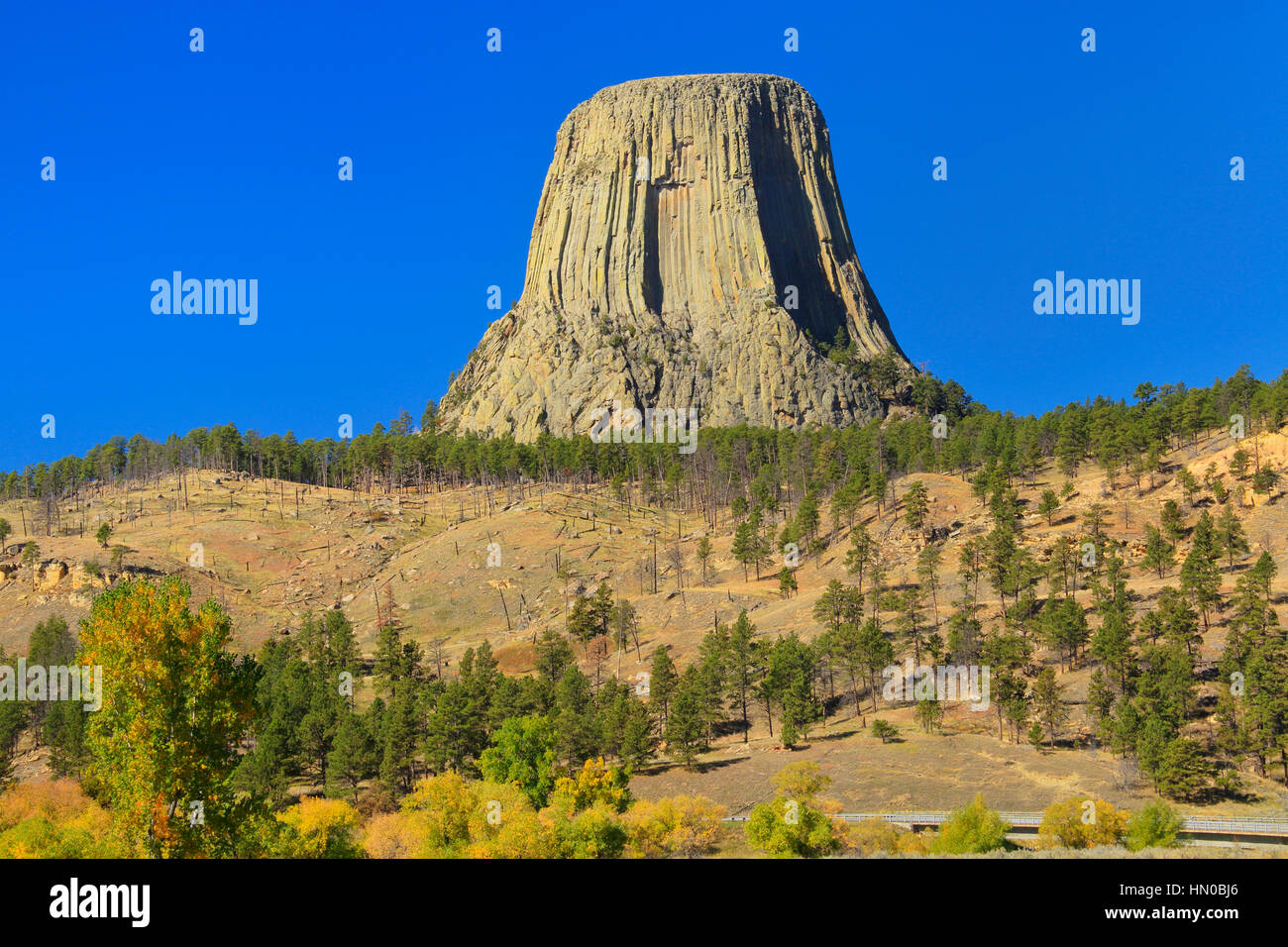 Devils Tower National Monument, Devils Tower, Wyoming, USA Stock Photo ...