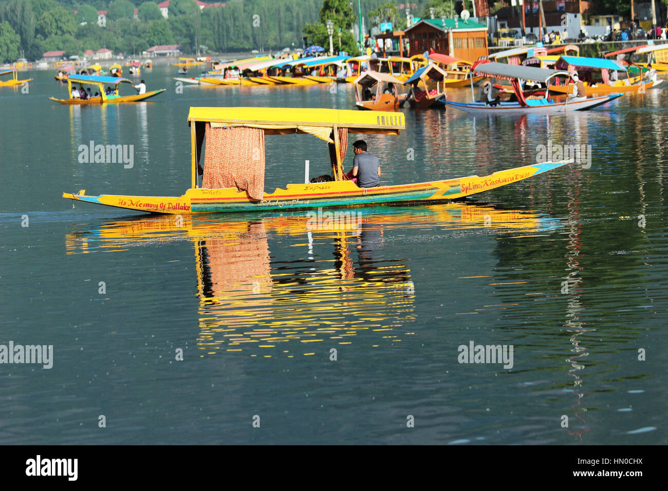 A Shikara (boat) on Dal Lake in Srinagar, Kashmir, Jammu and Kashmir ...