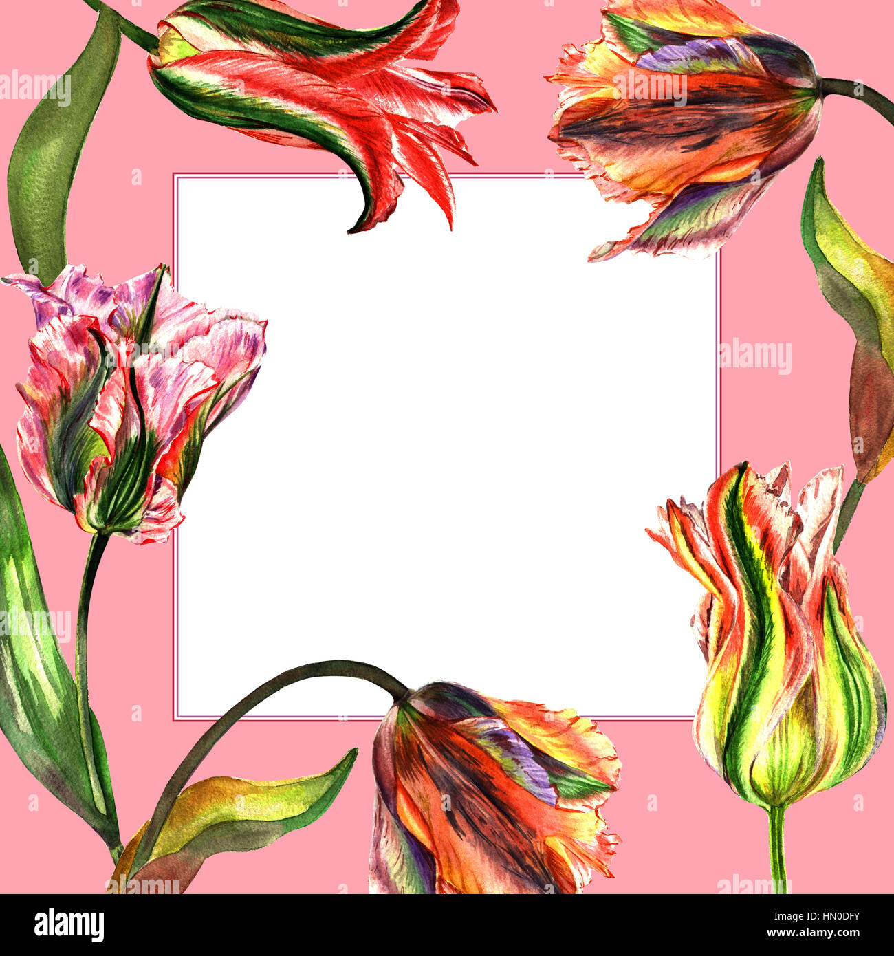 Wildflower tulip flower frame in a watercolor style isolated Stock ...
