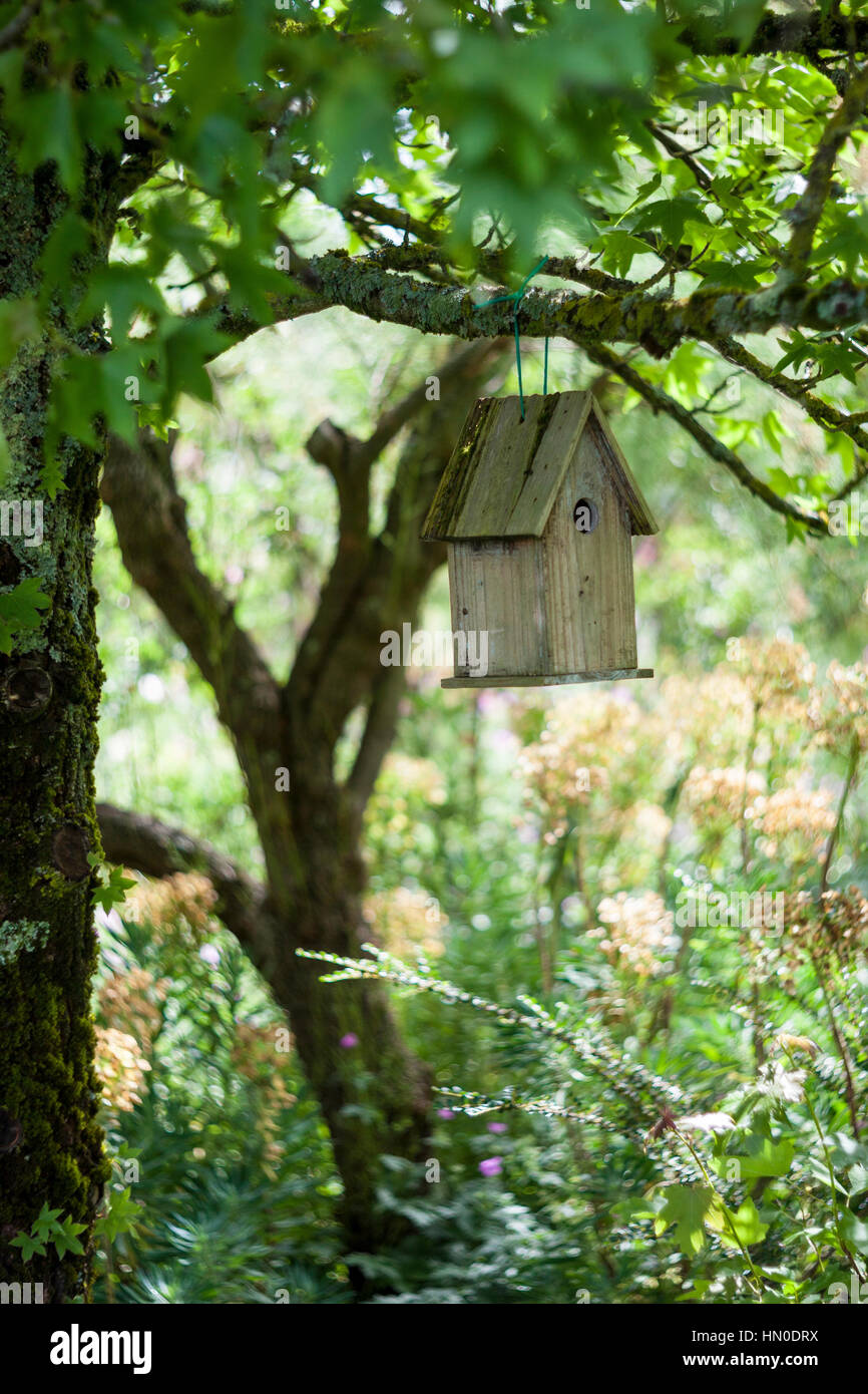 Bird house or nesting box in a tree Stock Photo - Alamy