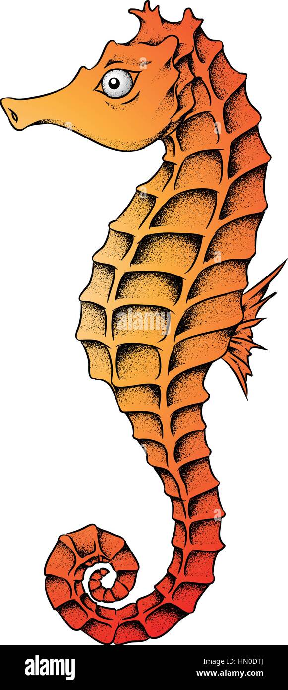 Vector Illustration of a Seahorse isolated on a white background Stock ...