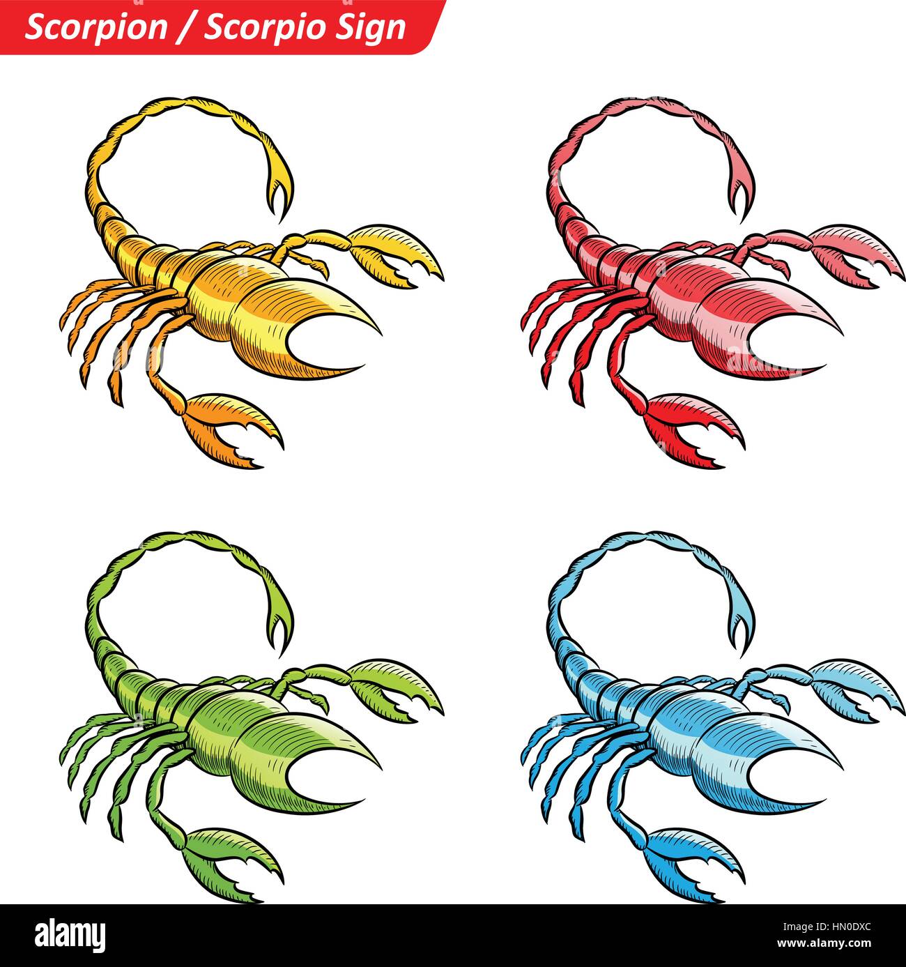 Vector Illustration of Colorful Scorpio Astrological Zodiac Star Signs ...