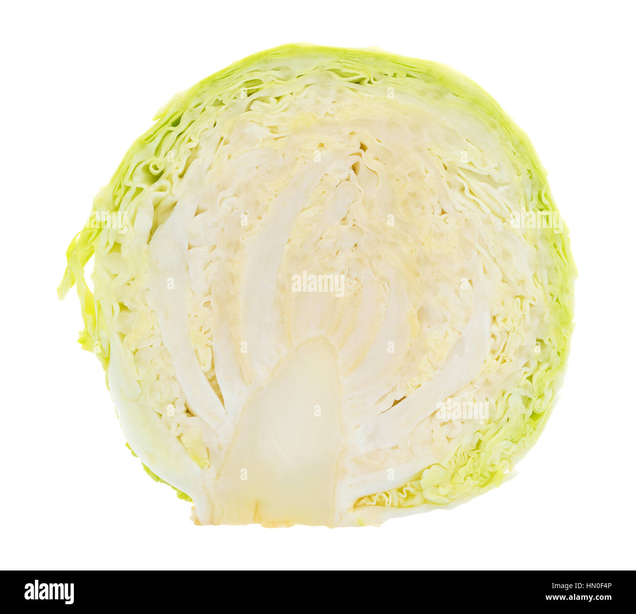 An organic cabbage that has been sliced in half isolated on a white ...