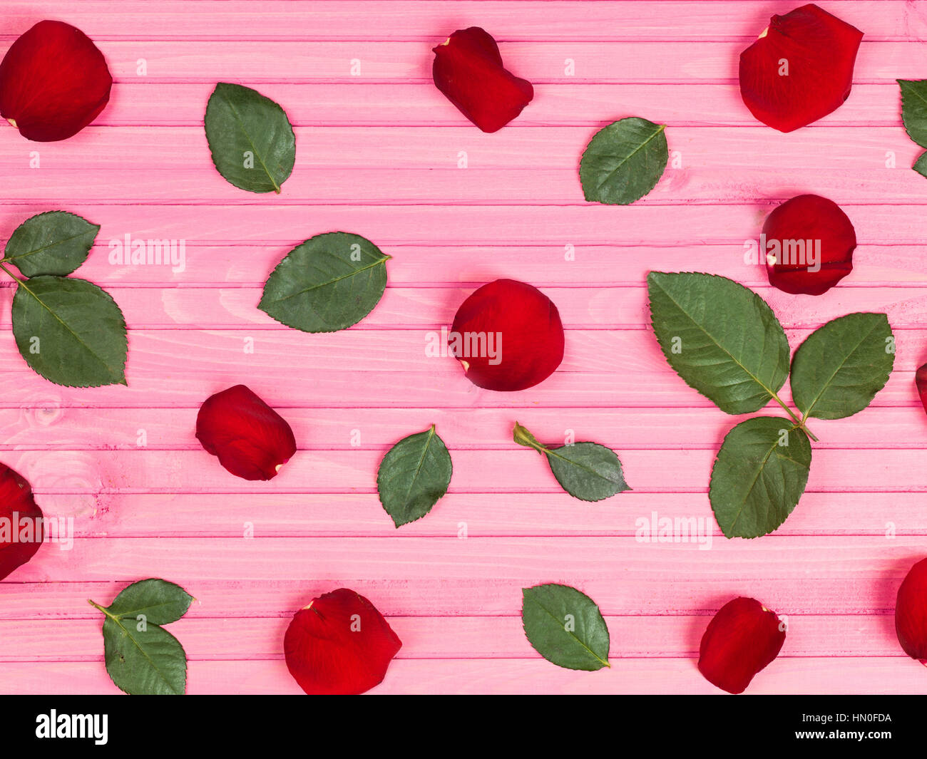 Valentines Day Traditional Romantic Red Roses On A Pink Background ...