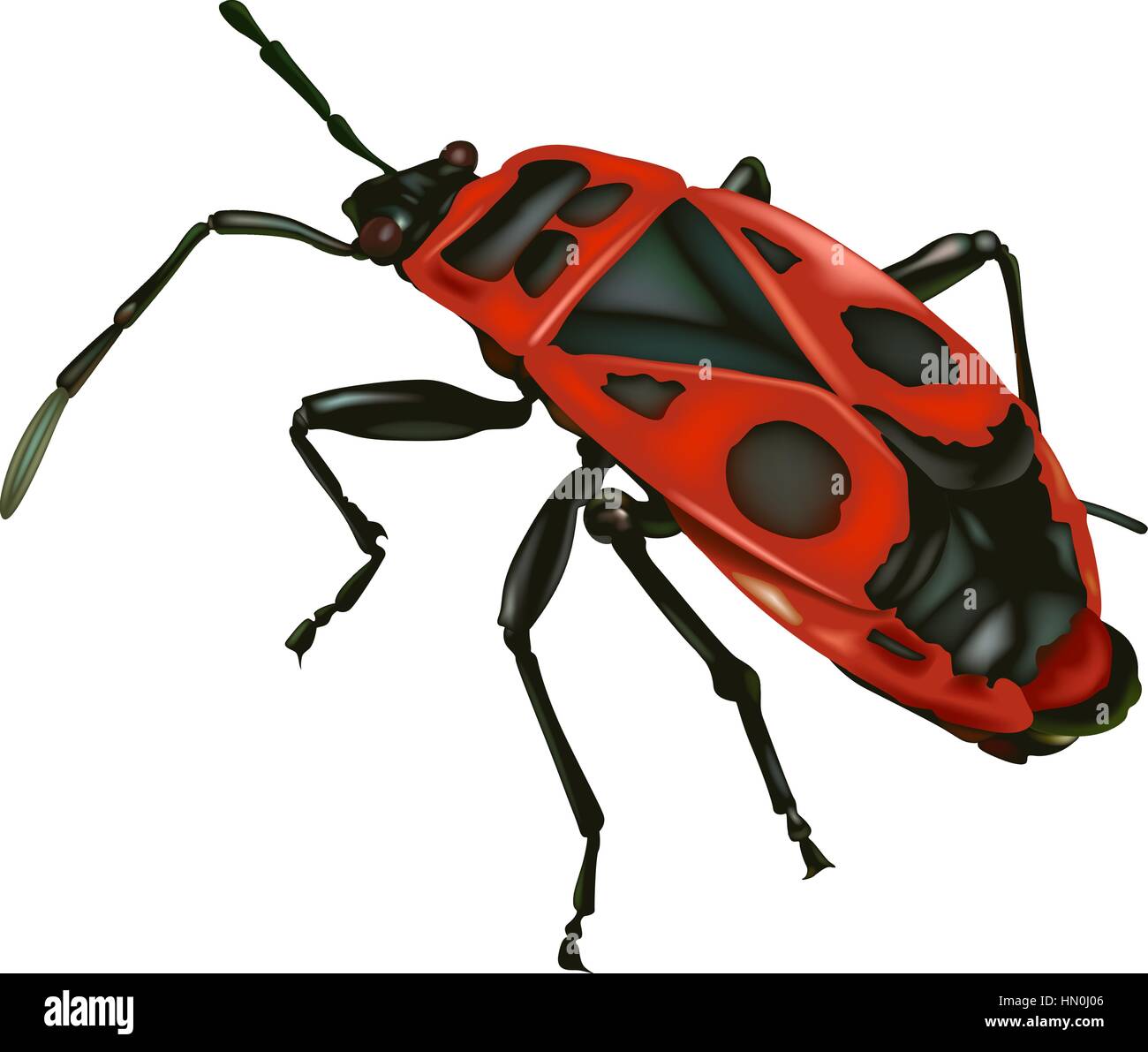 Firebug vector vectors hi-res stock photography and images - Alamy