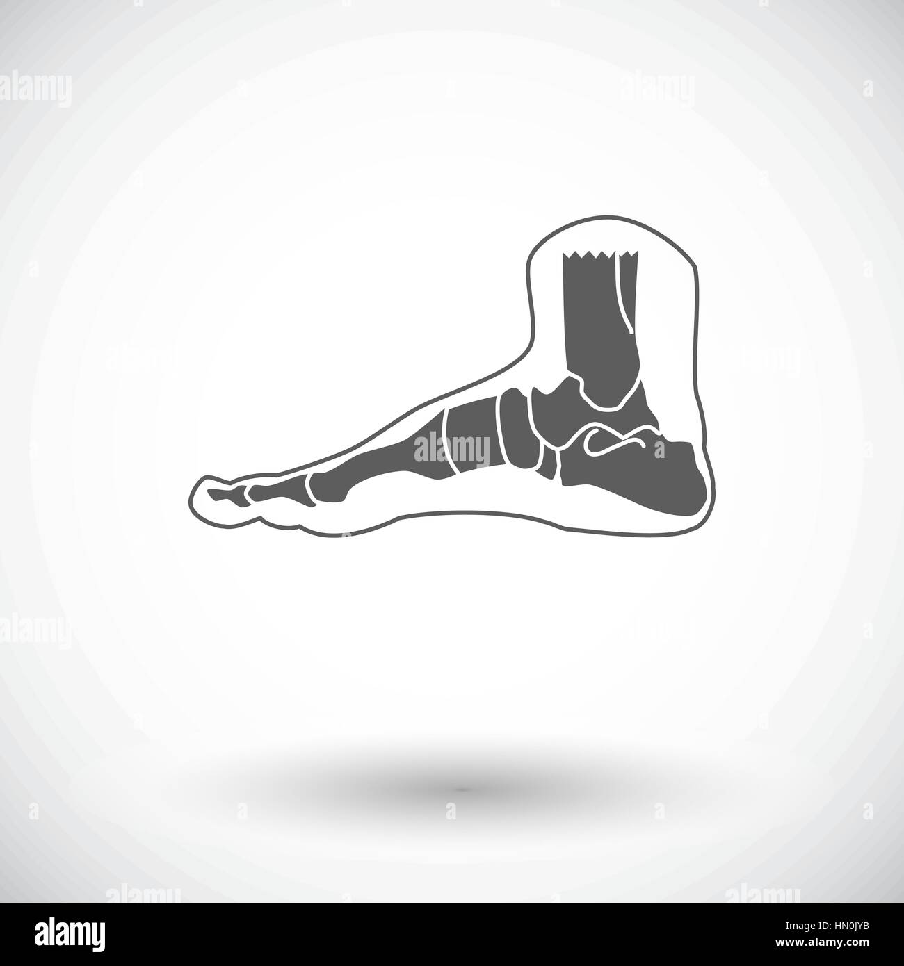 Foot anatomy. Single flat icon on white background. Vector illustration ...