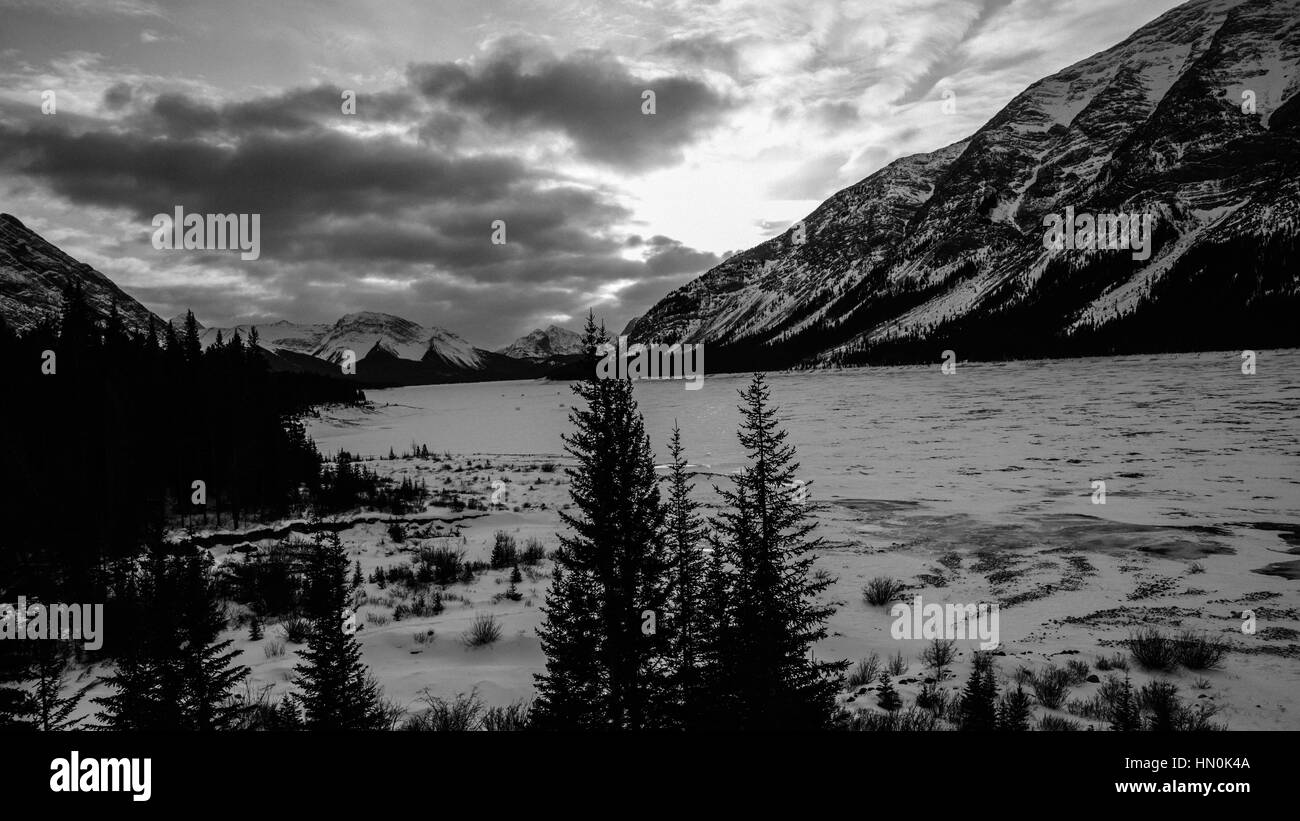 Jasper National Park , Nature, Canada Stock Photo - Alamy