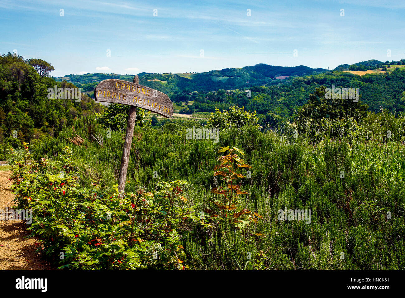 Italy Emilia Romagna Casola Valsenio RA Herb Garden Views Of The