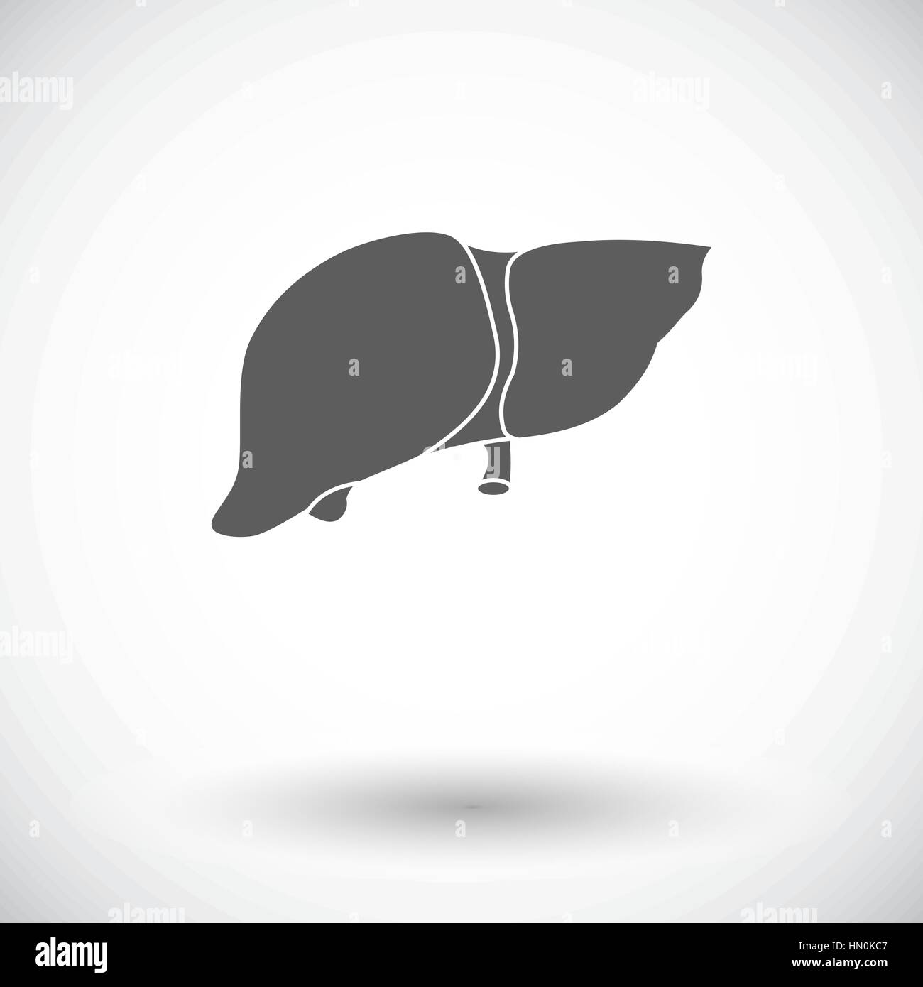 Liver. Single flat icon on white background. Vector illustration Stock ...