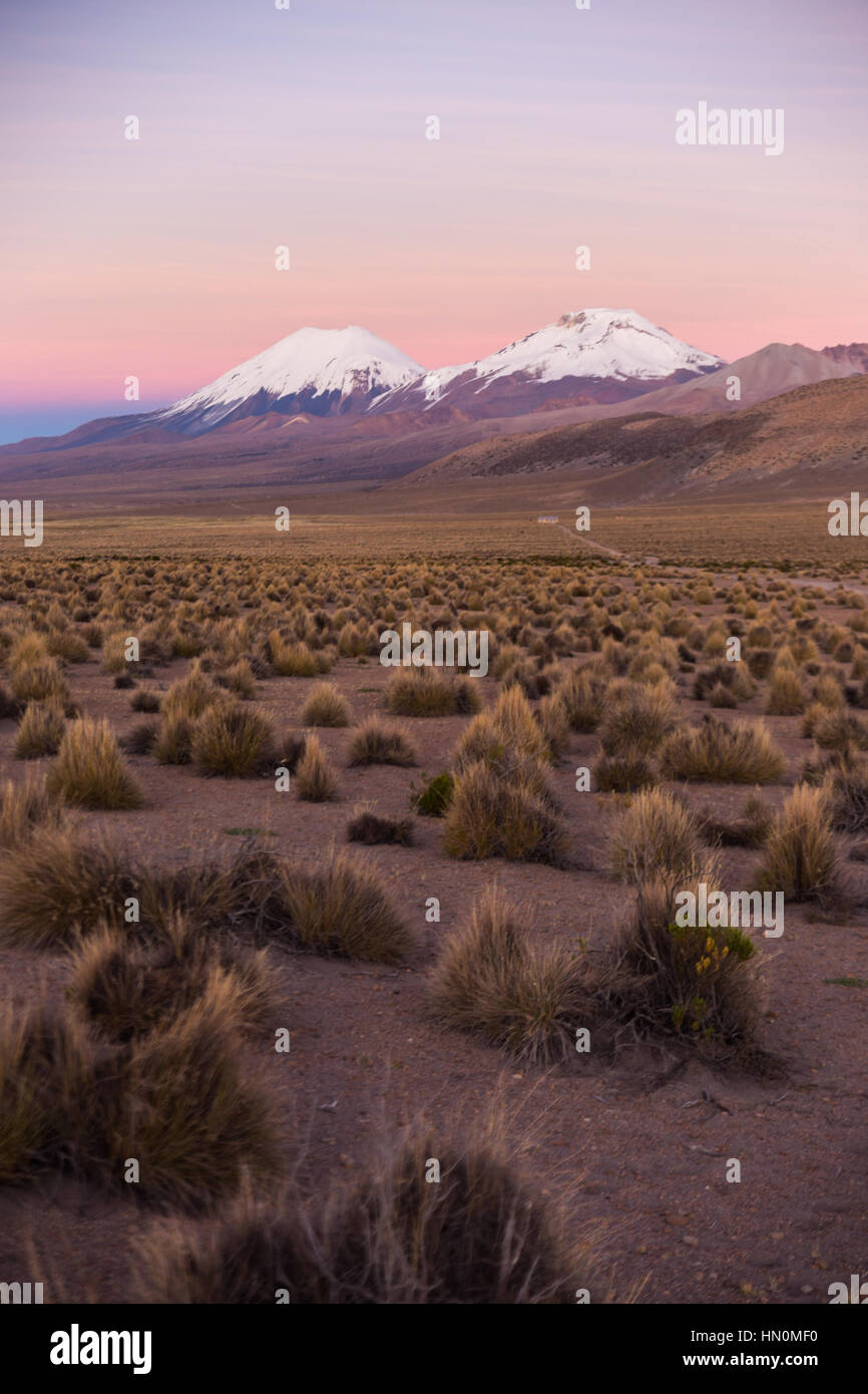 Sunset in Andes. Parinacota and Pomerade volcanos. High Andean ...