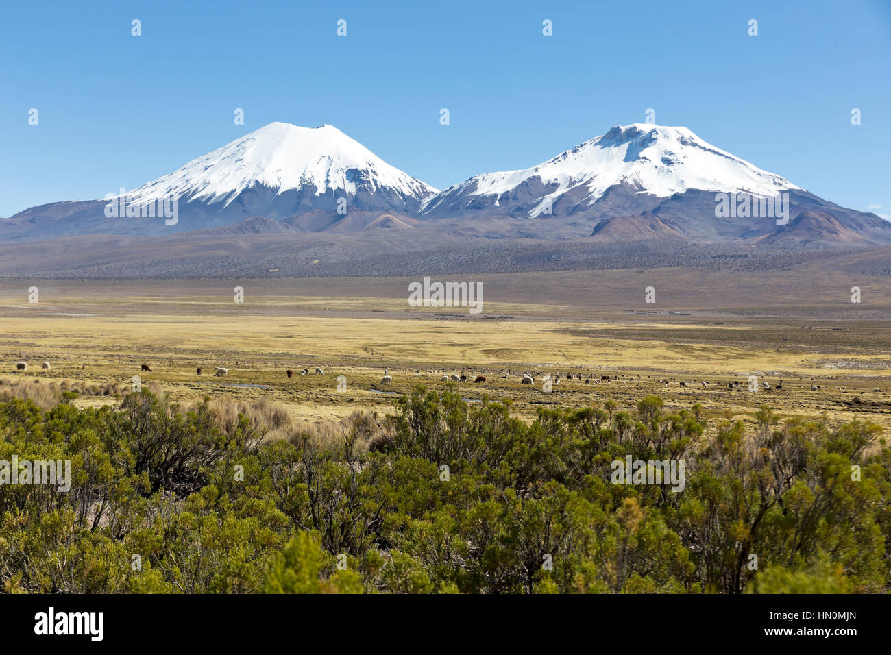 landscape of the Andes Mountains, with snow-covered volcano in the ...