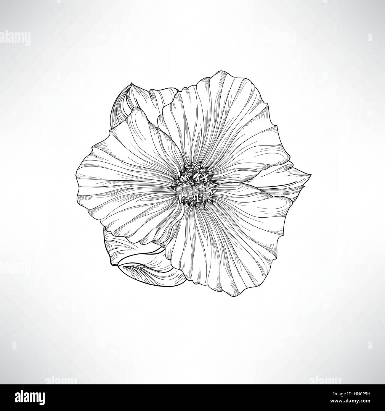 Flower isolated. Floral engraving illustration. Vector set Stock Vector ...