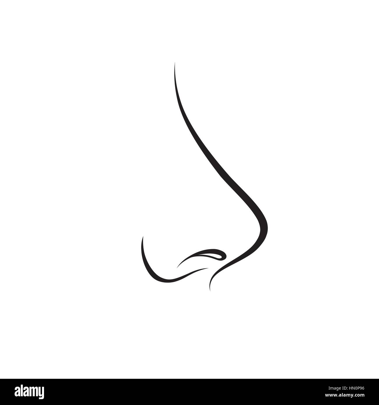 Nose isolated. Human nose icon. Vector engraving illustration on white ...
