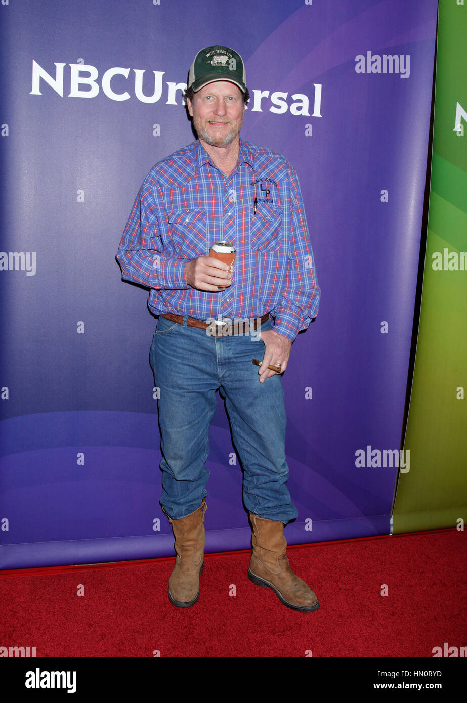Rooster mcconaughey hi-res stock photography and images - Alamy