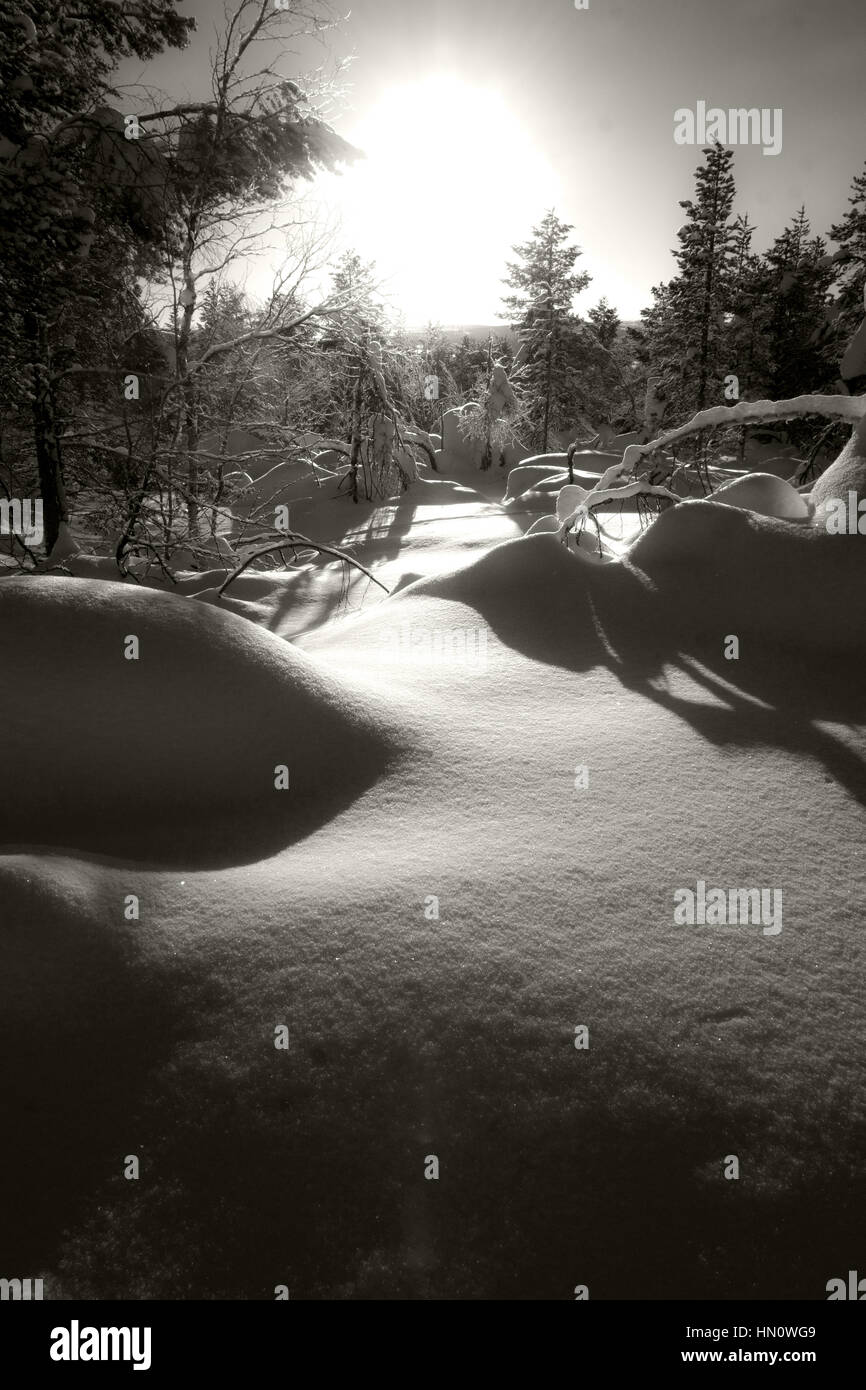 Arctic snowscape hi-res stock photography and images - Alamy