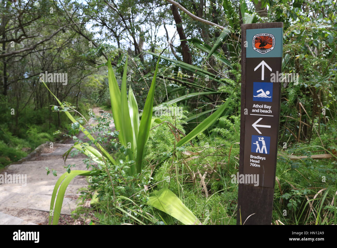 Track to Athol Beach, Athol Bay, Mosman on Sydney harbour Stock Photo ...