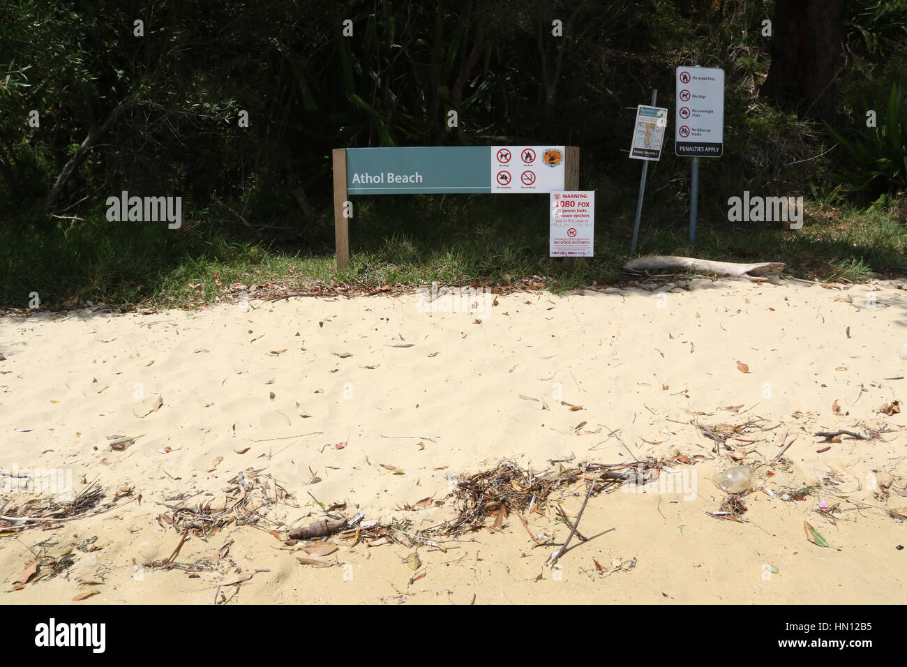 Athol Beach, Athol Bay, Mosman on Sydney harbour Stock Photo - Alamy
