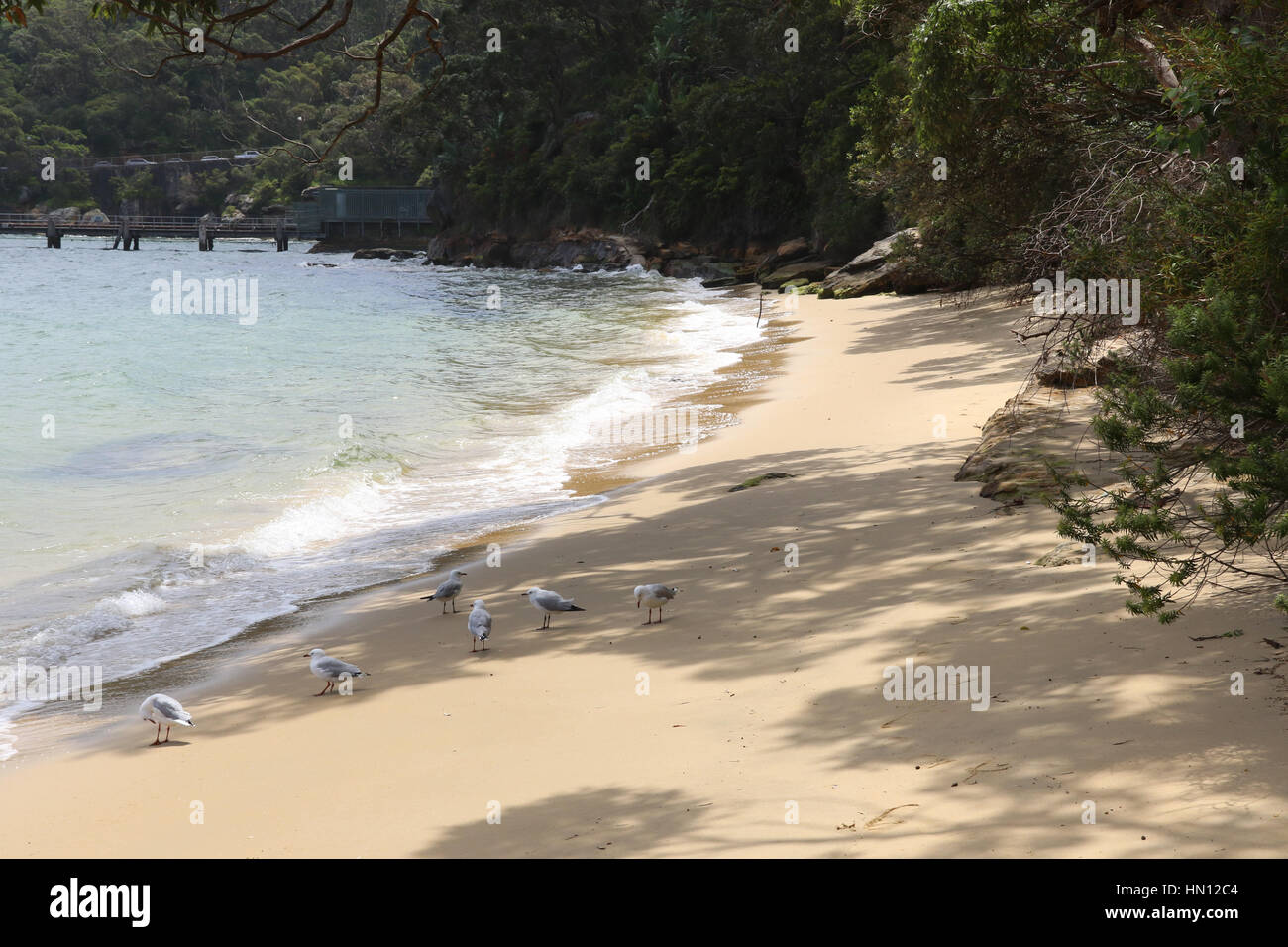 Athol bay and beach hi-res stock photography and images - Alamy