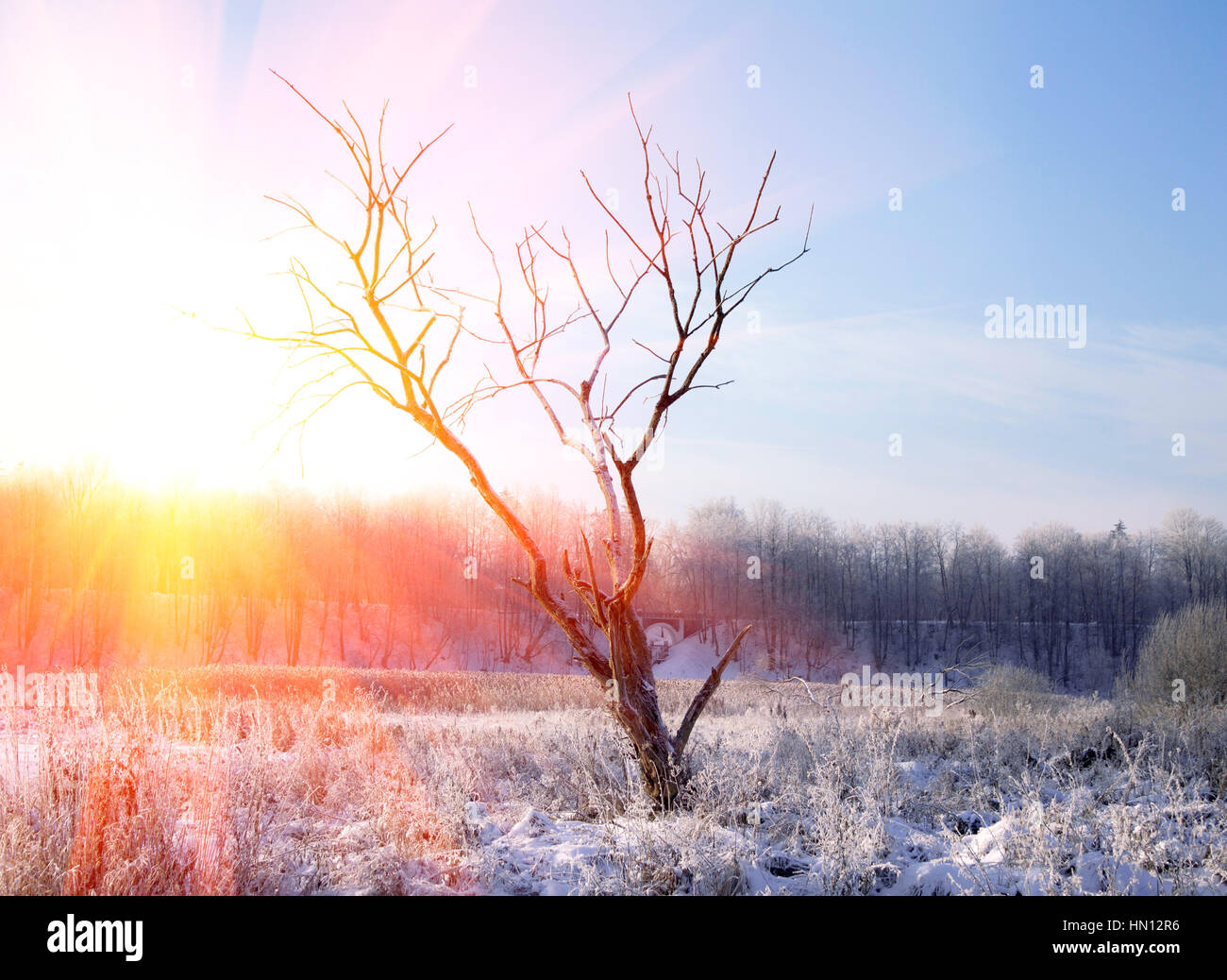Beautiful cold snowy day in the city hi-res stock photography and ...