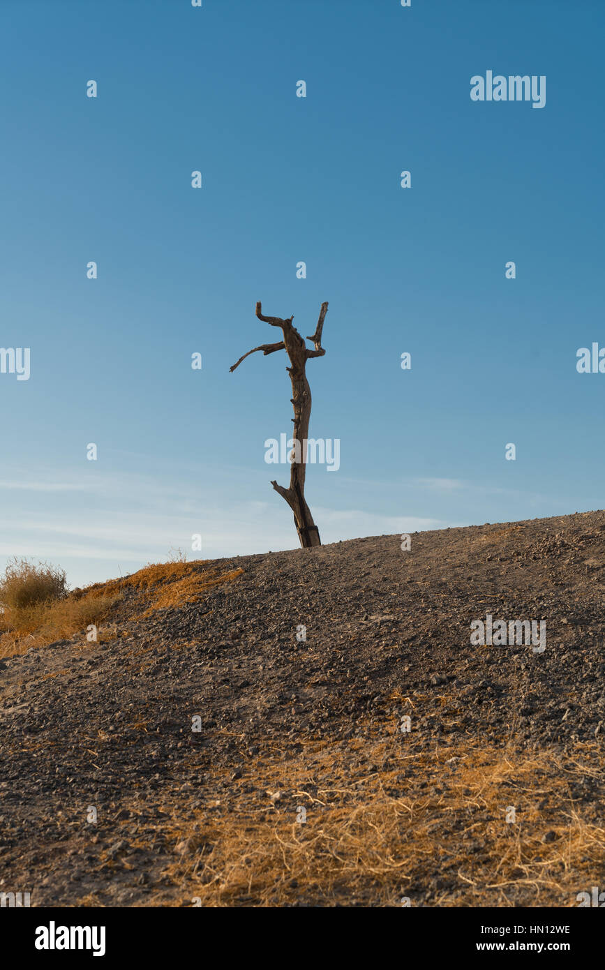 Bet Shean National Park (Scythopolis), Israel Stock Photo - Alamy