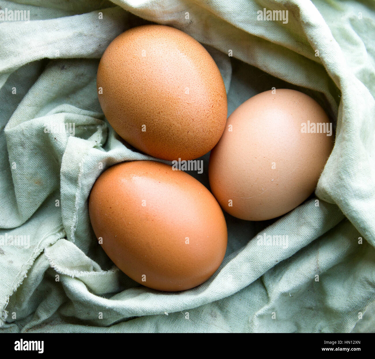 the brown eggs wrapped in a rag Stock Photo - Alamy