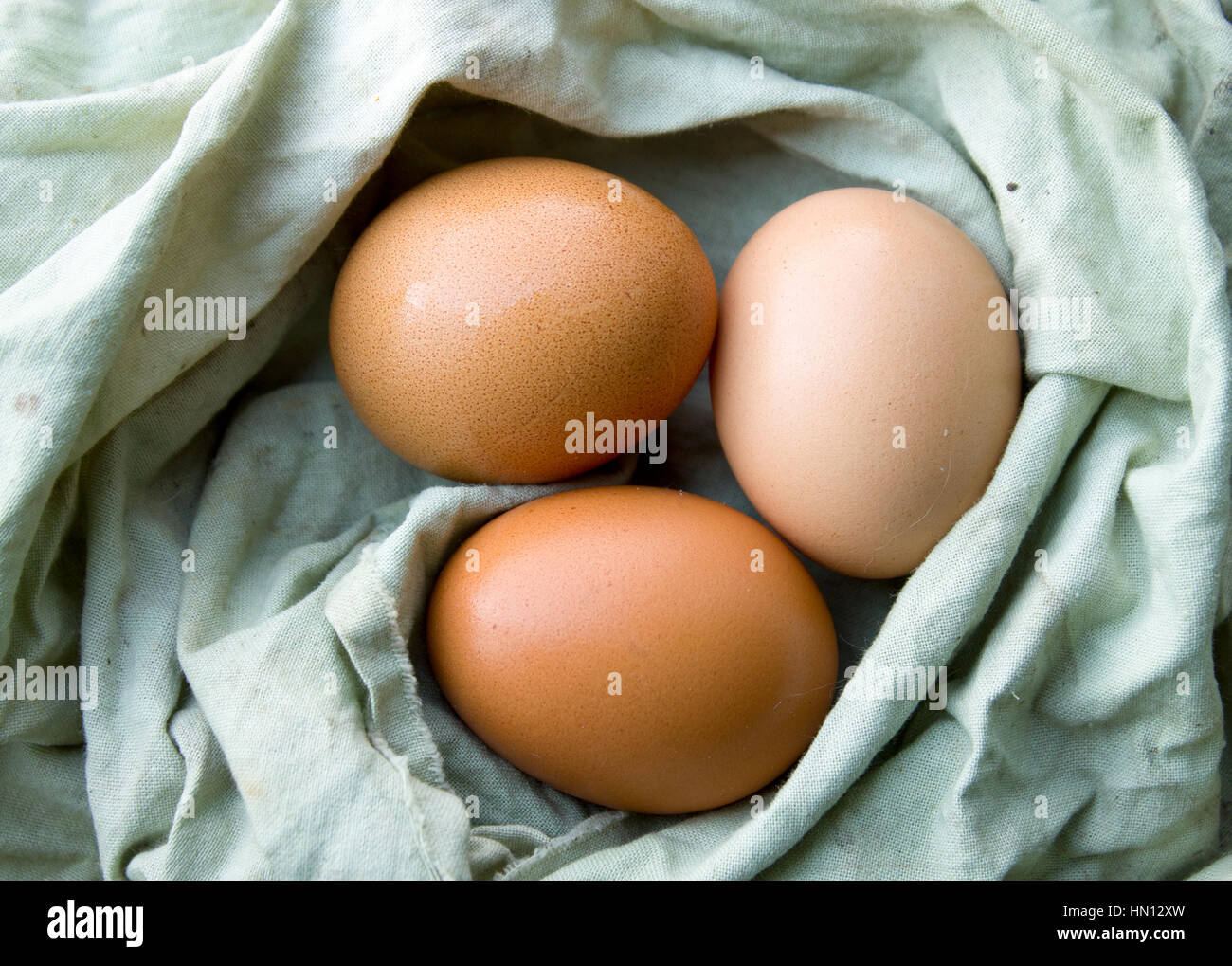 the brown eggs wrapped in a rag Stock Photo - Alamy