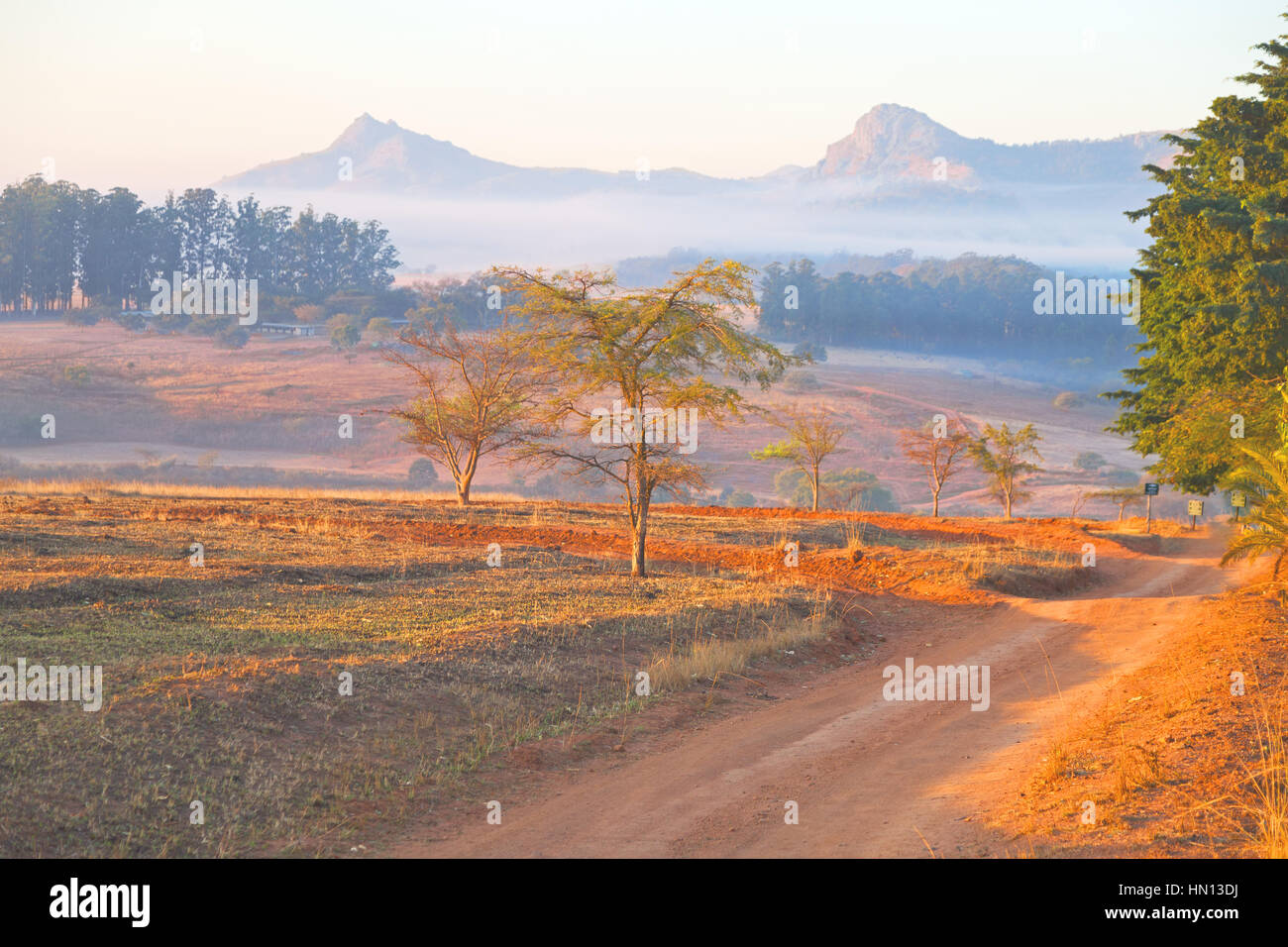 blur in swaziland mlilwane wildlife nature reserve mountain and tree ...