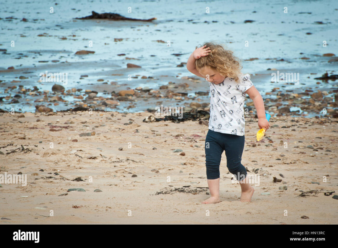 Little girl exploring the beach Stock Photo - Alamy