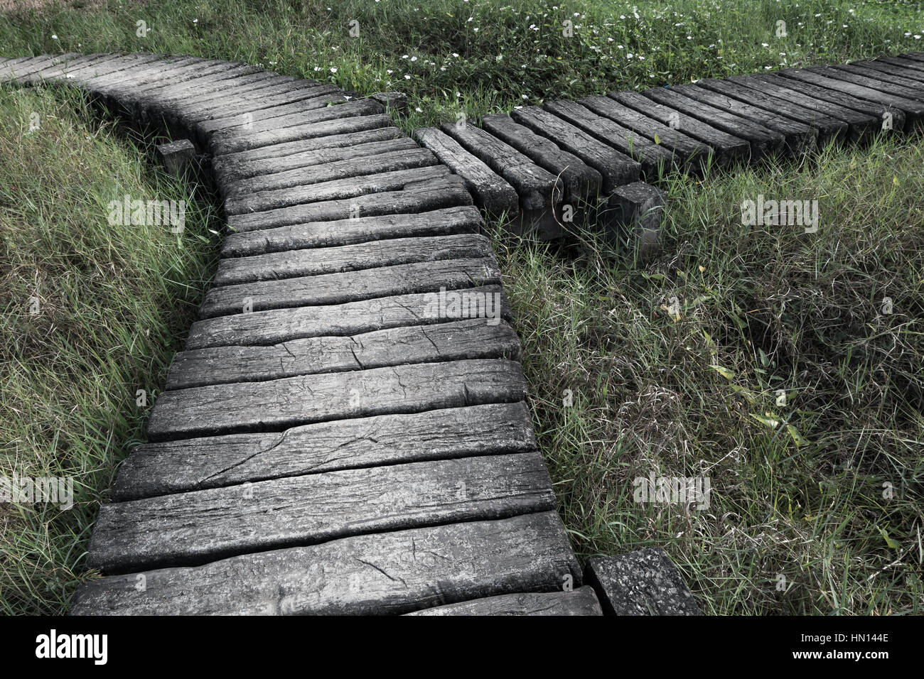 Old cement path way walk way on lawn with grass, y shape, curvy shape ...