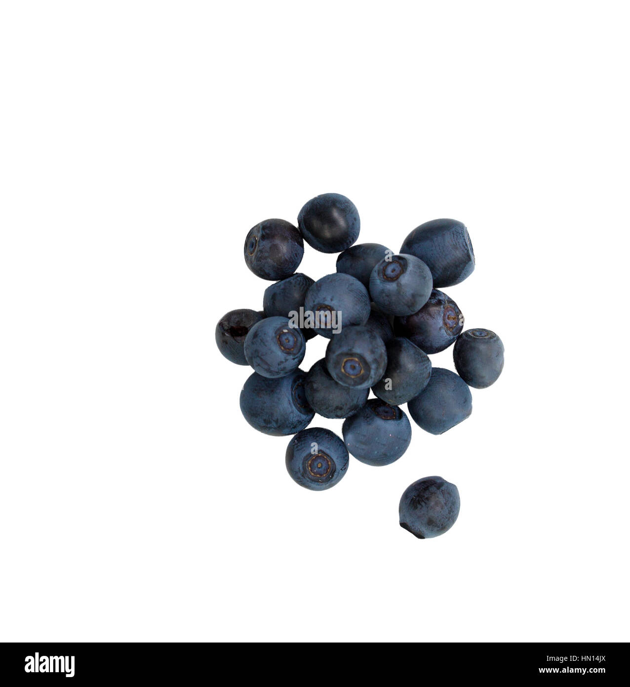 Bog berry Cut Out Stock Images & Pictures - Alamy