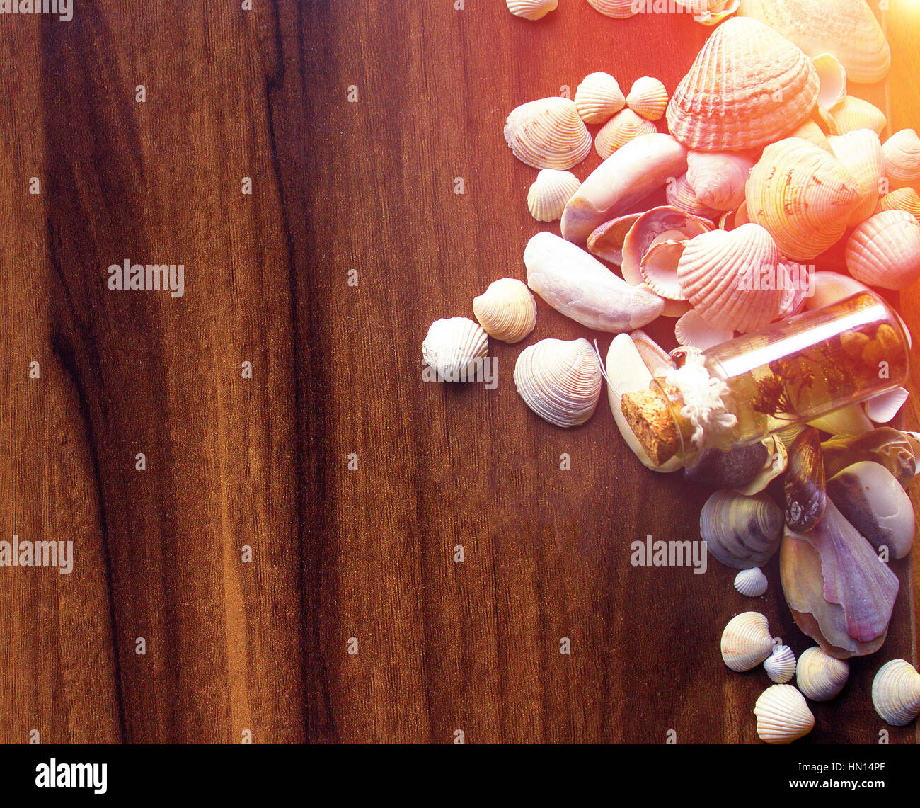 Background with sea cockleshells Stock Photo - Alamy