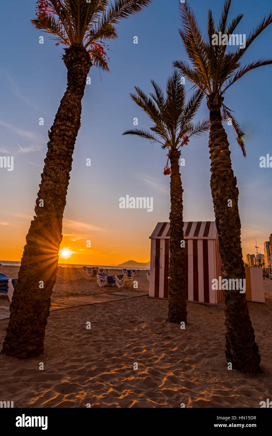 Benidorm at night Stock Photo - Alamy