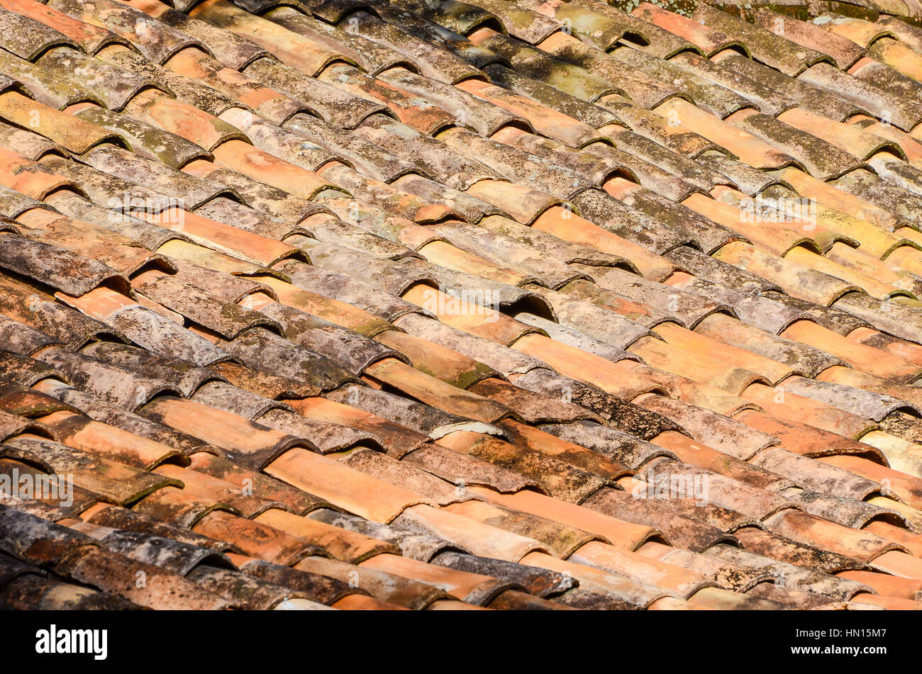 Moldy roof hi-res stock photography and images - Alamy