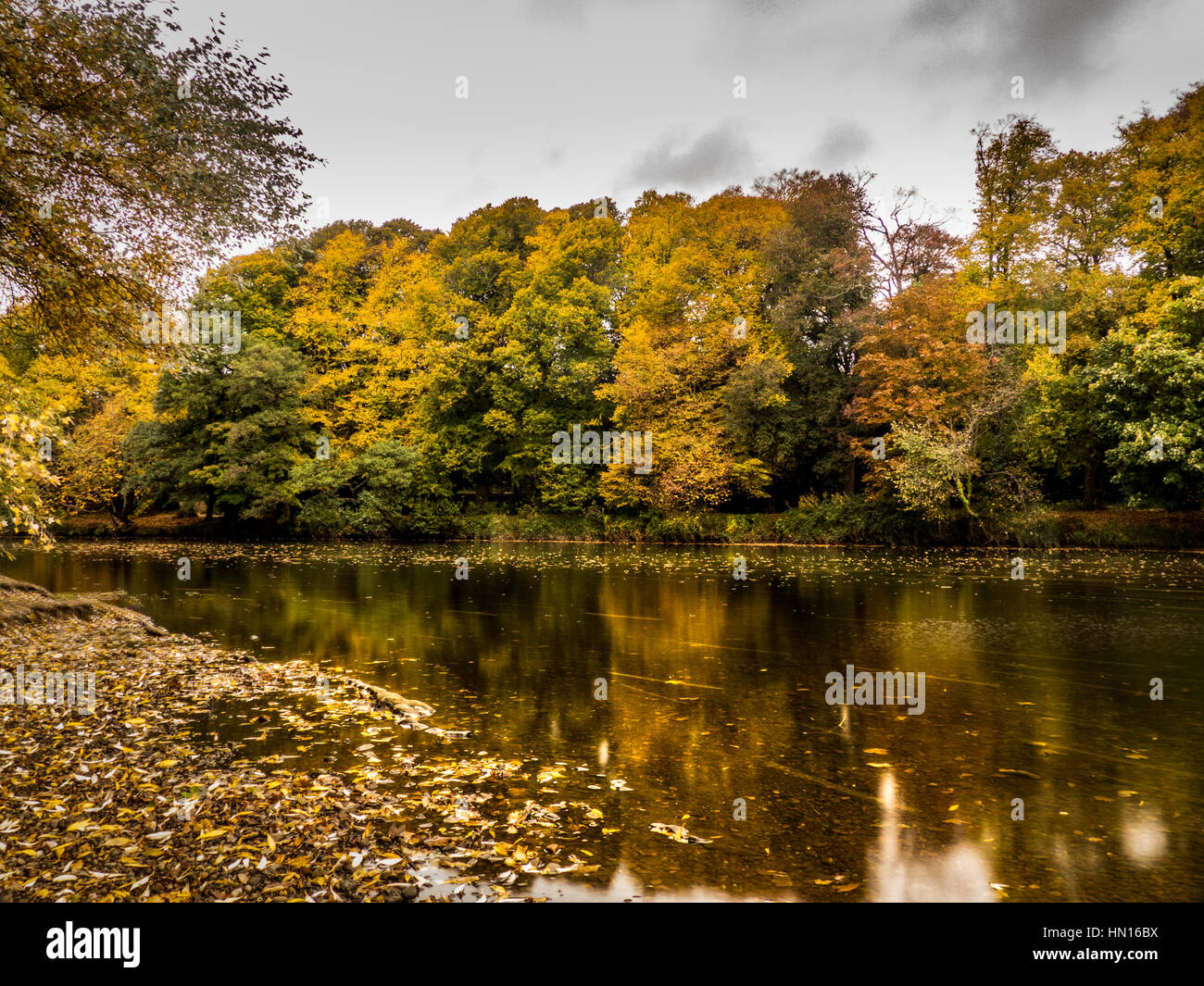 River taff cardiff hi-res stock photography and images - Alamy